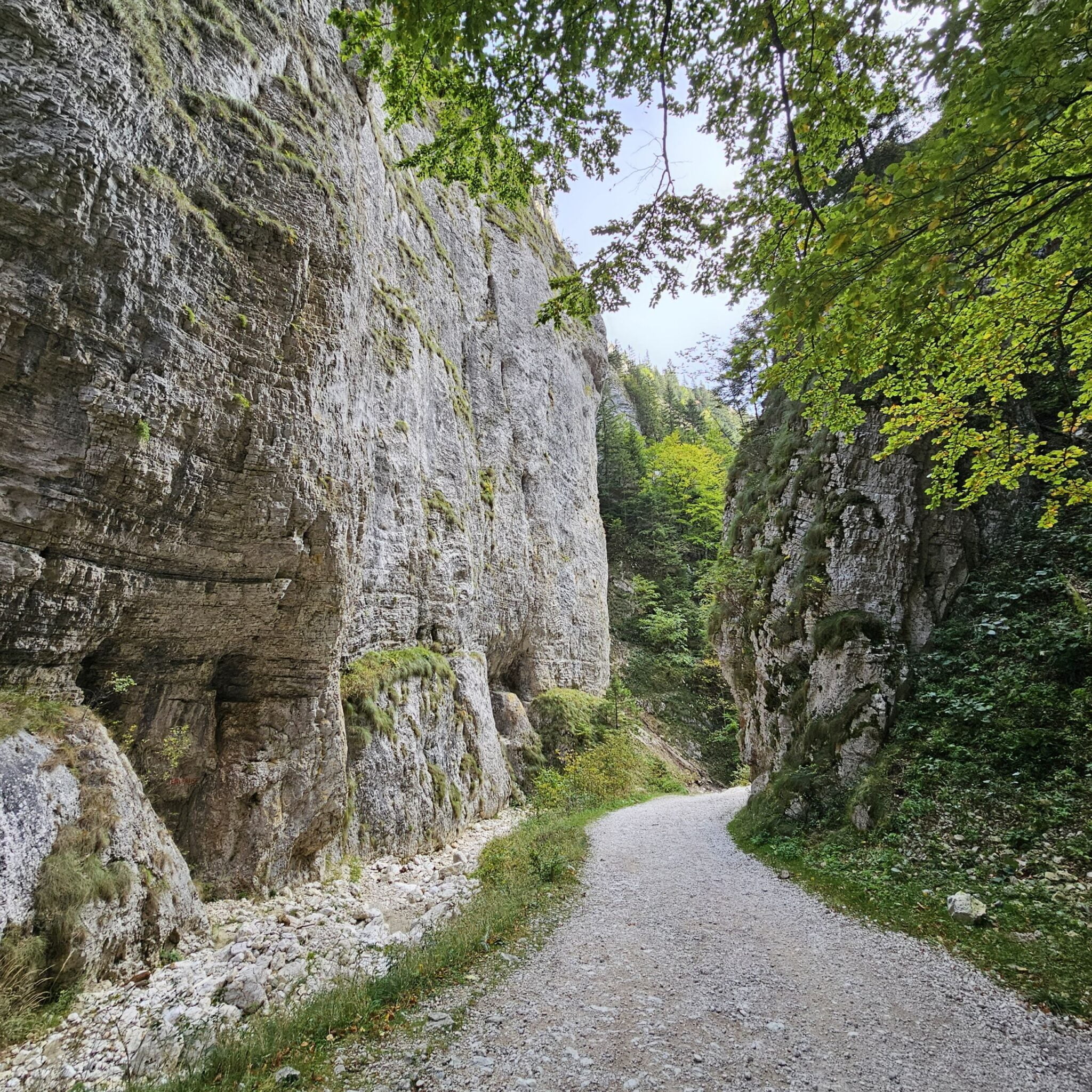 Prăpăstiile Zărneștiului • plimbari.ro